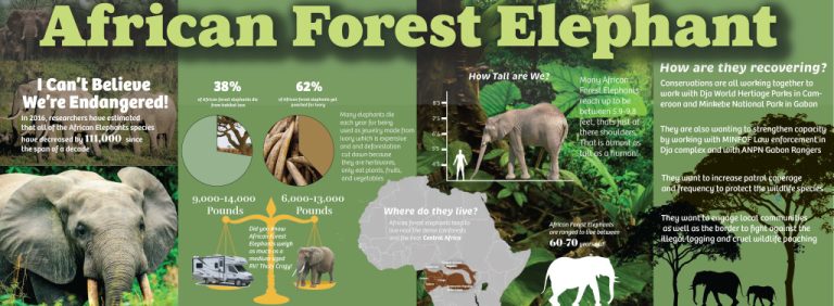 A person without imagination is like a teabag without hot water. (Alan ...